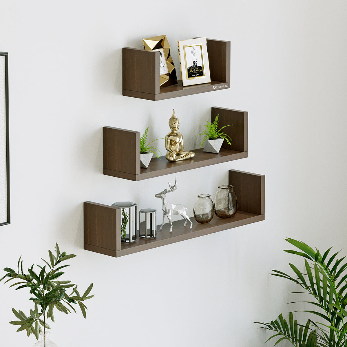 Bluewud's Range Of Premium Designer Wall Shelves | Starting @ ₹499 Only